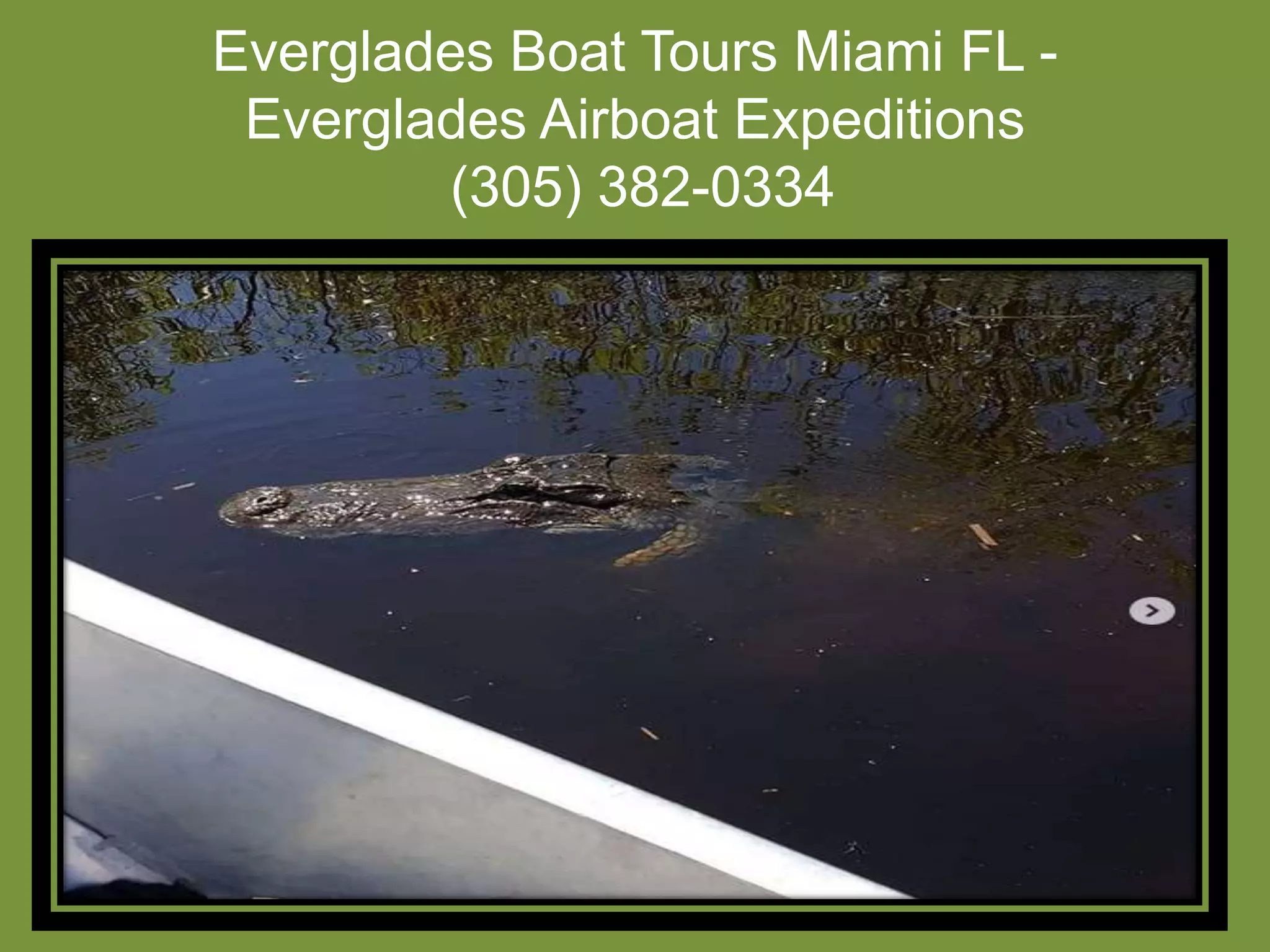 Miami Everglades Tours | PPTX