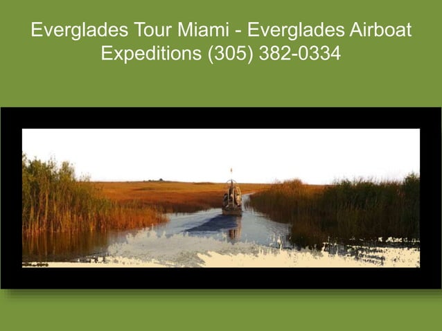 Miami Everglades Tours | PPTX