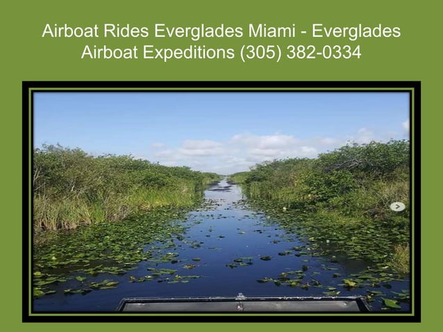 Miami Everglades Tours | PPTX
