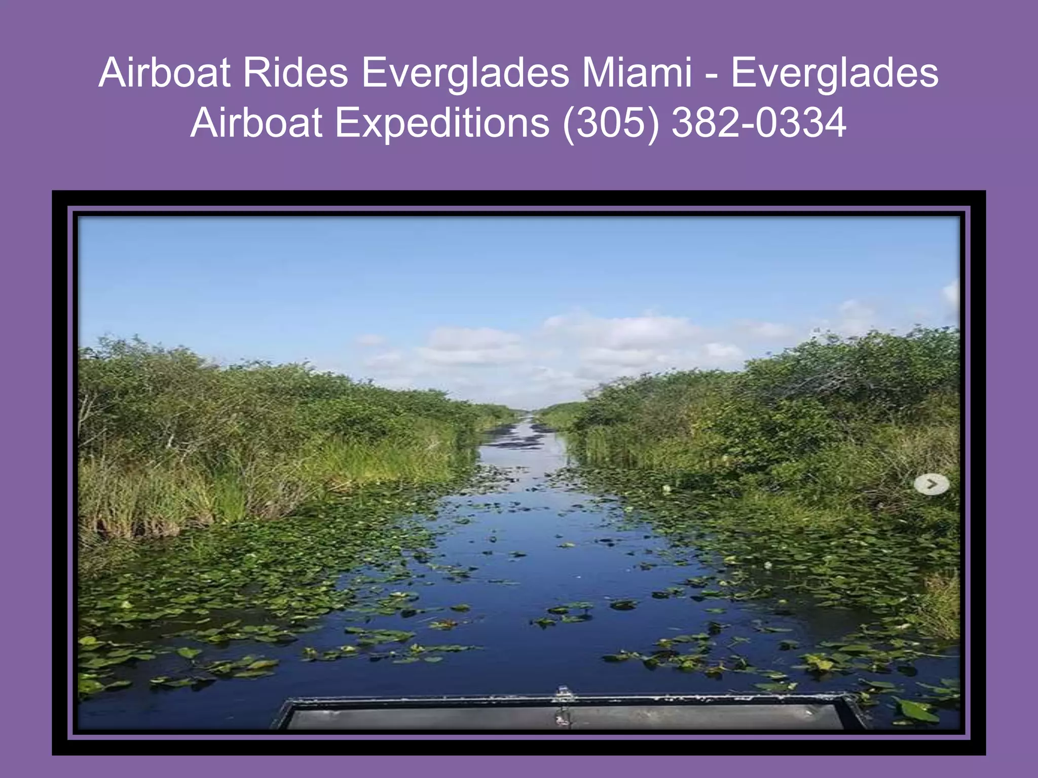 Miami Everglades Tours | PPTX