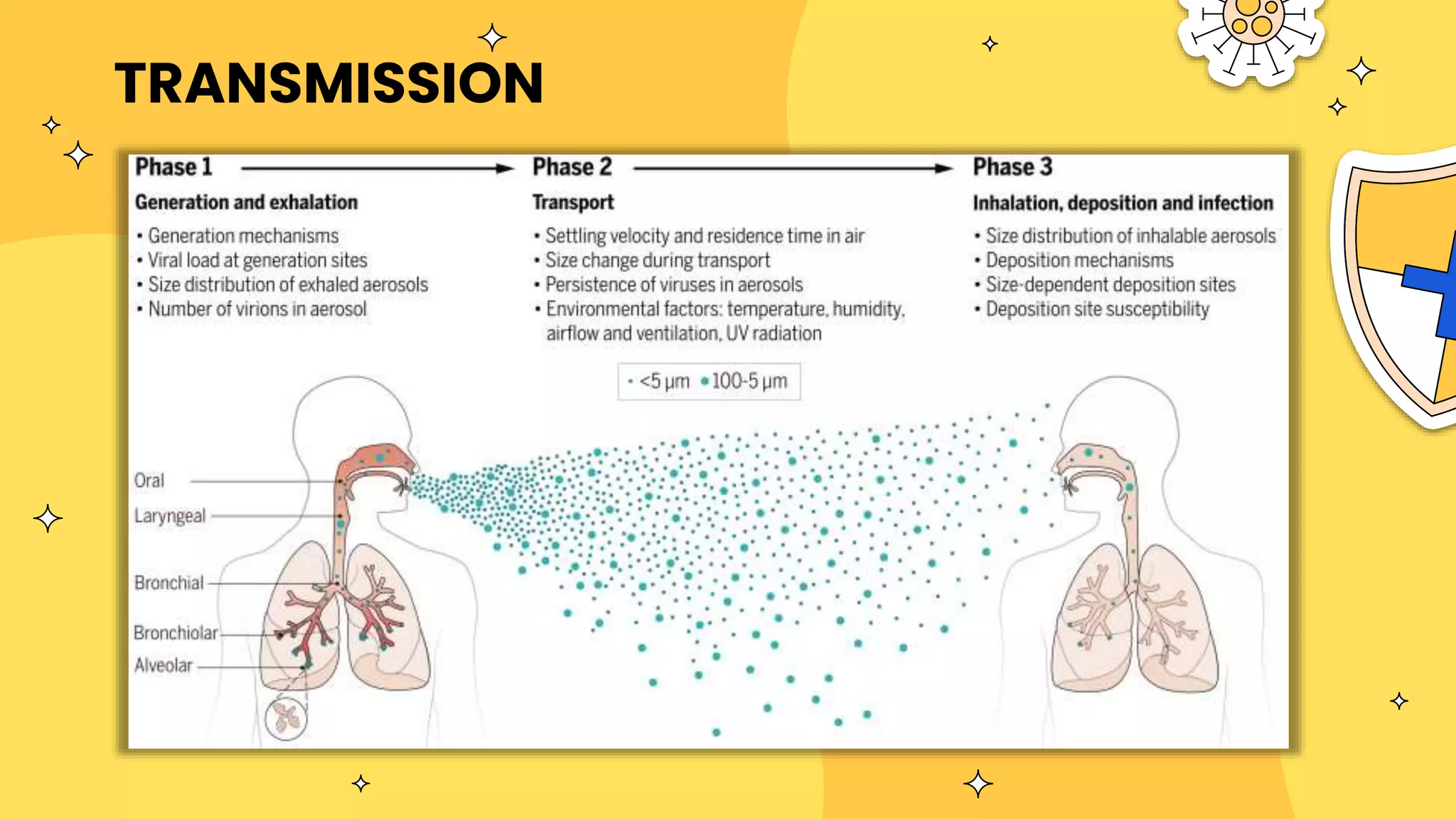 Airborne diseases-symptoms, causes, treatment and prevention | PPTX