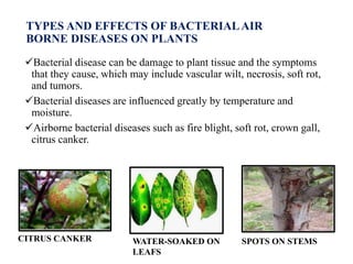 air borne bacterial disease.pptx