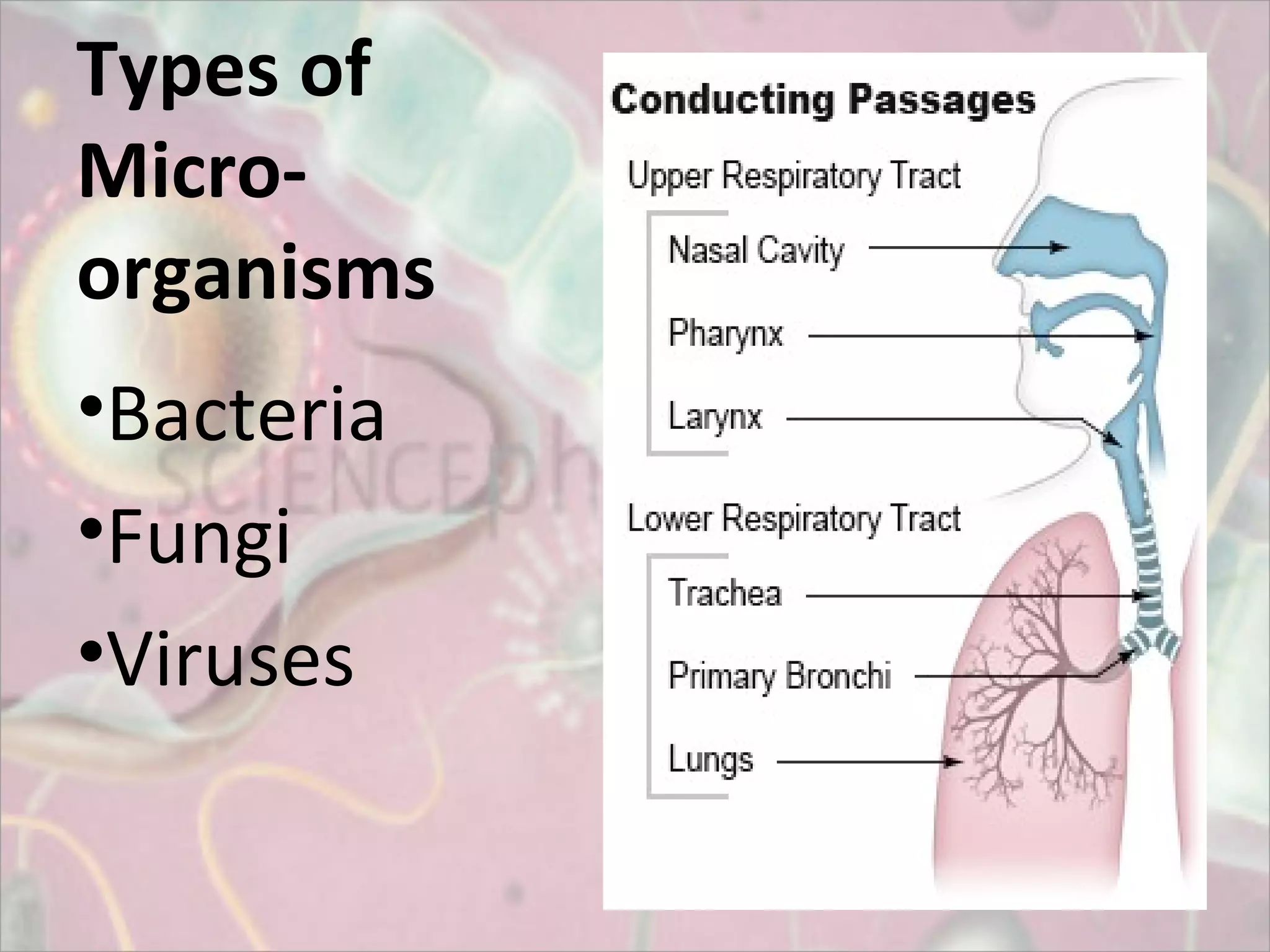 Air borne diseases | PPT