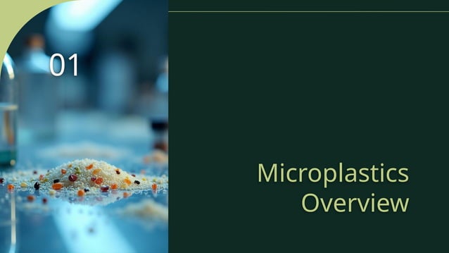 aa a Airborne Microplastics ppt ( 1 ).pptx