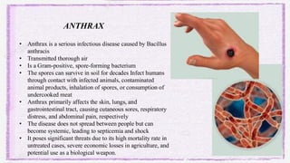 Air borne microorganisms and their impact on human health.pdf