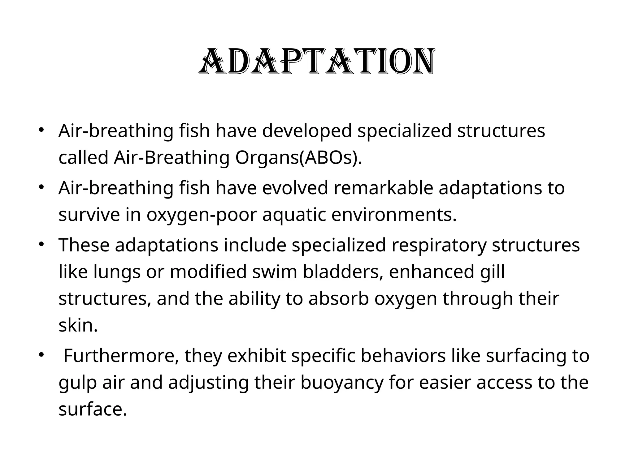 Air Breathing Fishes, Accessory Respiratory Organs.pptx