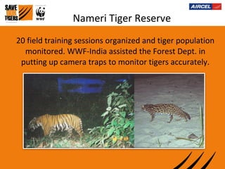 Aircel - WWF Tiger Conservation Initiatives (Part I) | PPT | Zoos ...
