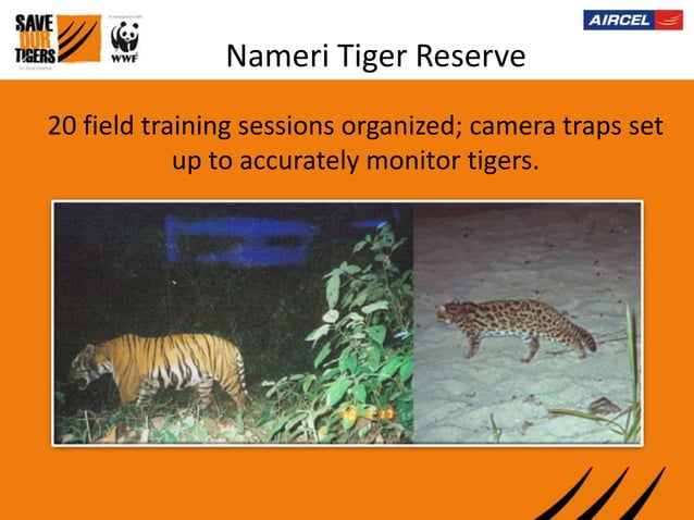 Aircel-WWF Save Our Tigers Initiatives | PPT