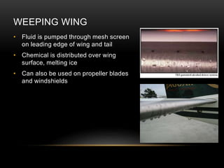 Weeping Wing