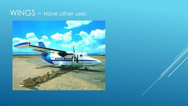 Aircraft recognition basic (ARB) lesson 1 | PPTX | Auto Type | Automotive