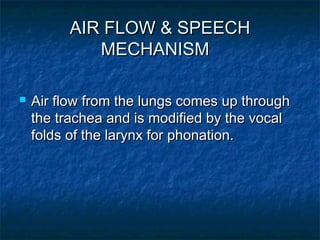 HIS 120 Air Flow and the Speech Mechanism | PPT