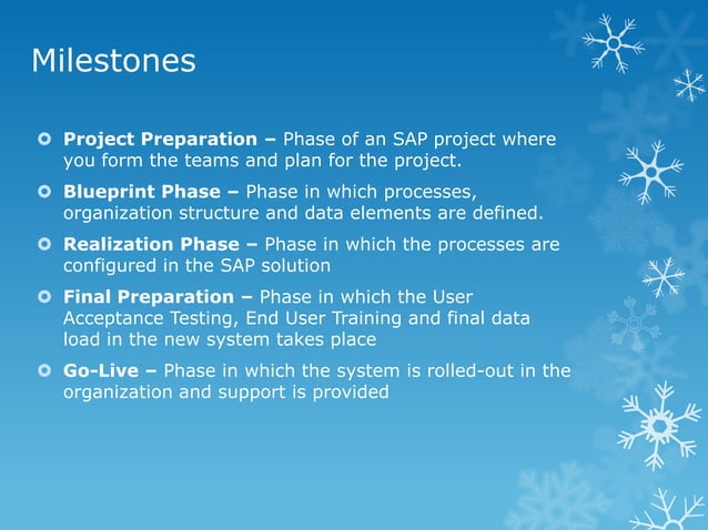 Air India - ERP Implementation Case Study | PPTX
