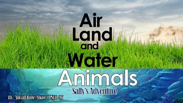 Air, land and water animals