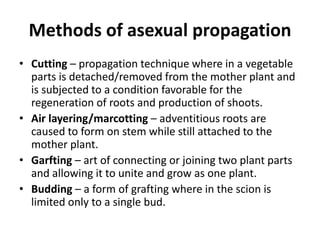 Air layering - asexual propagation | PPTX