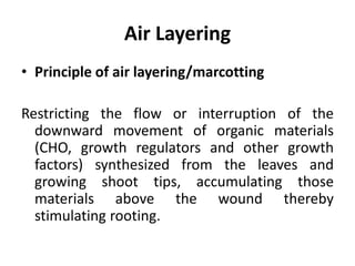 Air layering - asexual propagation | PPTX