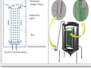 Airlift bioreactor ppt | PPTX
