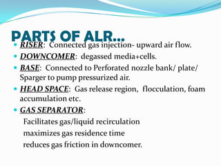 Airlift bioreactor ppt | PPTX