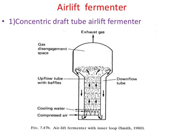 Airlift fermenter