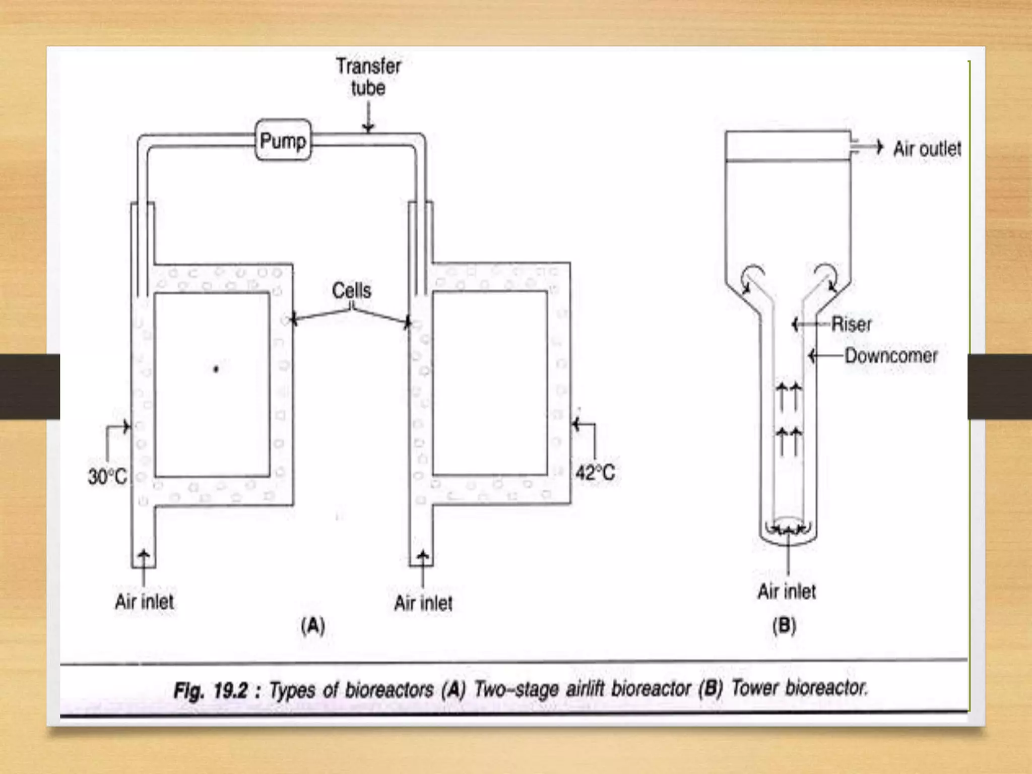 Airlift fermenter | PPTX
