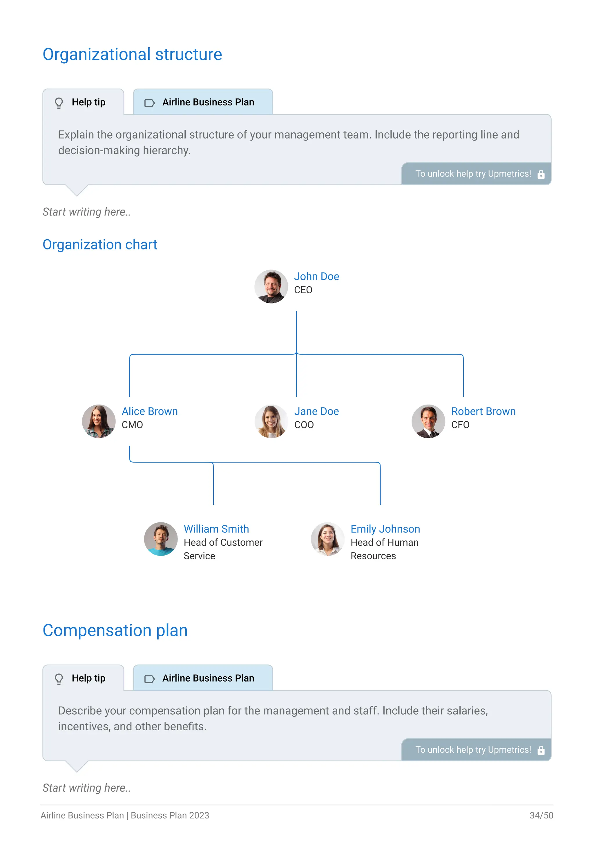 Airline Business Plan Example | Upmetrics | PDF