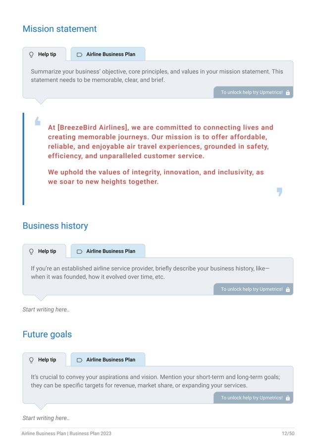 Airline Business Plan Example | Upmetrics | PDF
