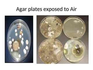 AIR_Microbiology_P1nohhcuhuguihihihi.ppt