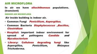 Air microbiology ppt | PPTX