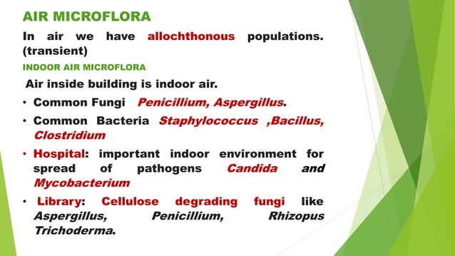Air microbiology ppt | PPTX | Lung and Respiratory Health | Diseases ...