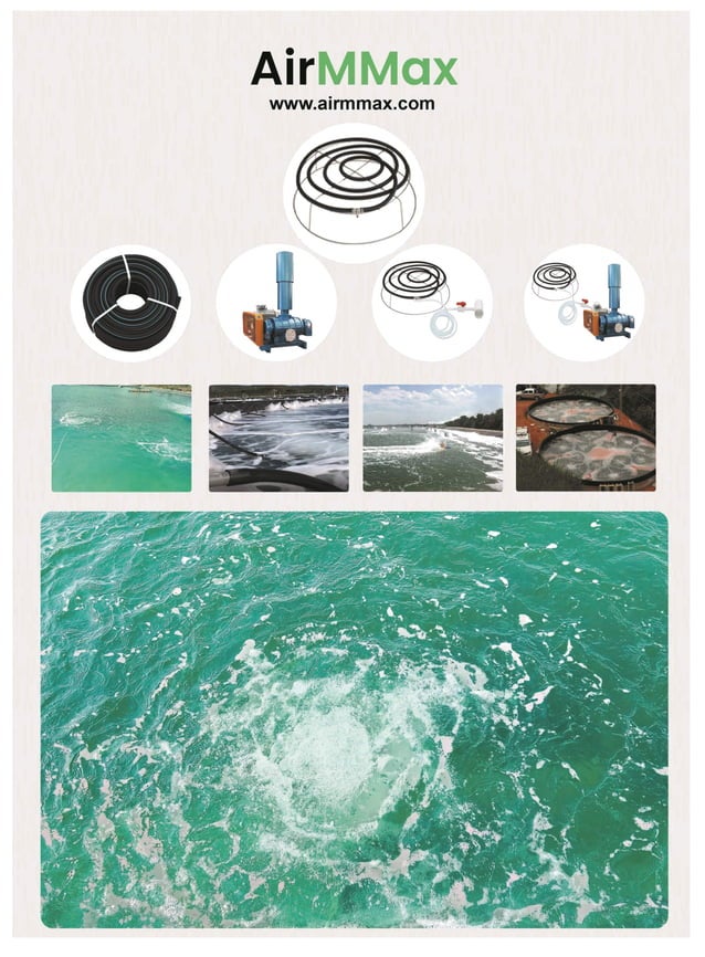 AirMMax s-men aeration diffuser catalog | PDF