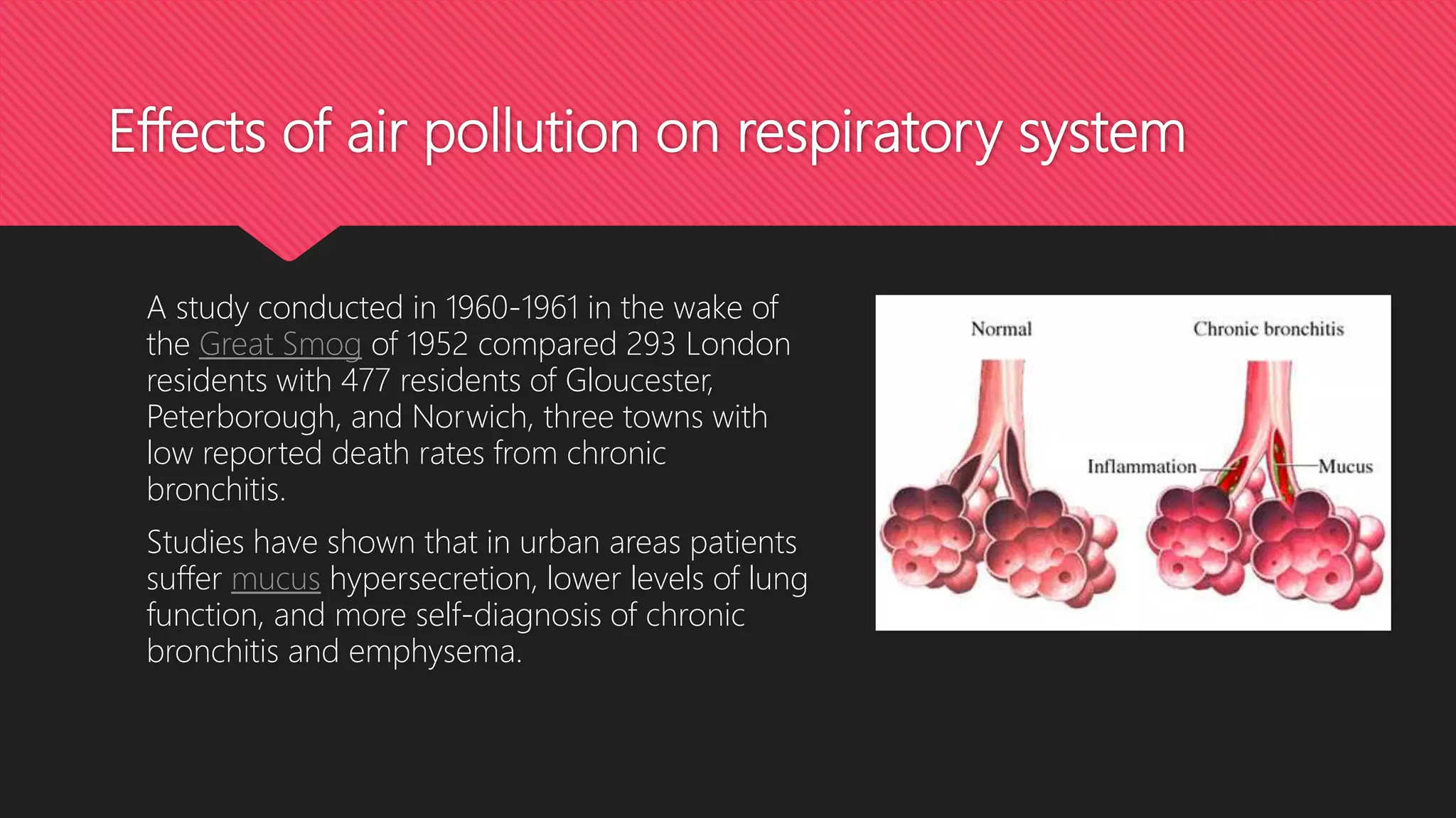 Air, Noise and Sound Pollution | PPTX