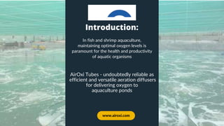 Which AirOxi Aeration tube is suitable for your Aquaculture Pond | PPT