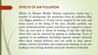 air polltuion and effects.pdf