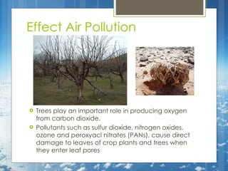 Air pollution | PPT