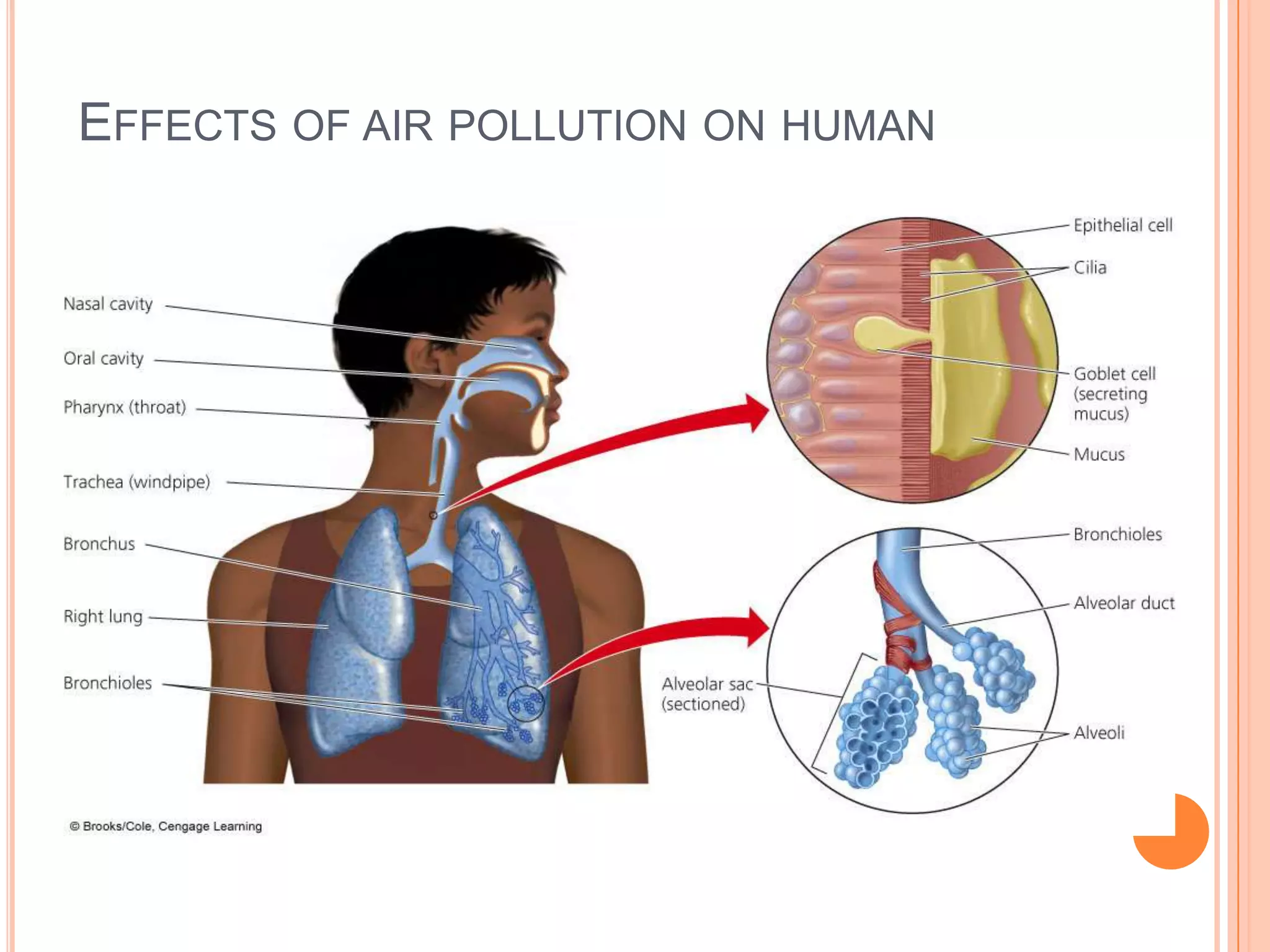 Air pollution | PPTX