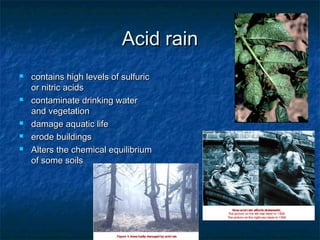 Air pollution | PPT