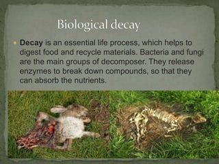 Air pollution | PPTX | Indoor Environmental Quality | Home & Garden