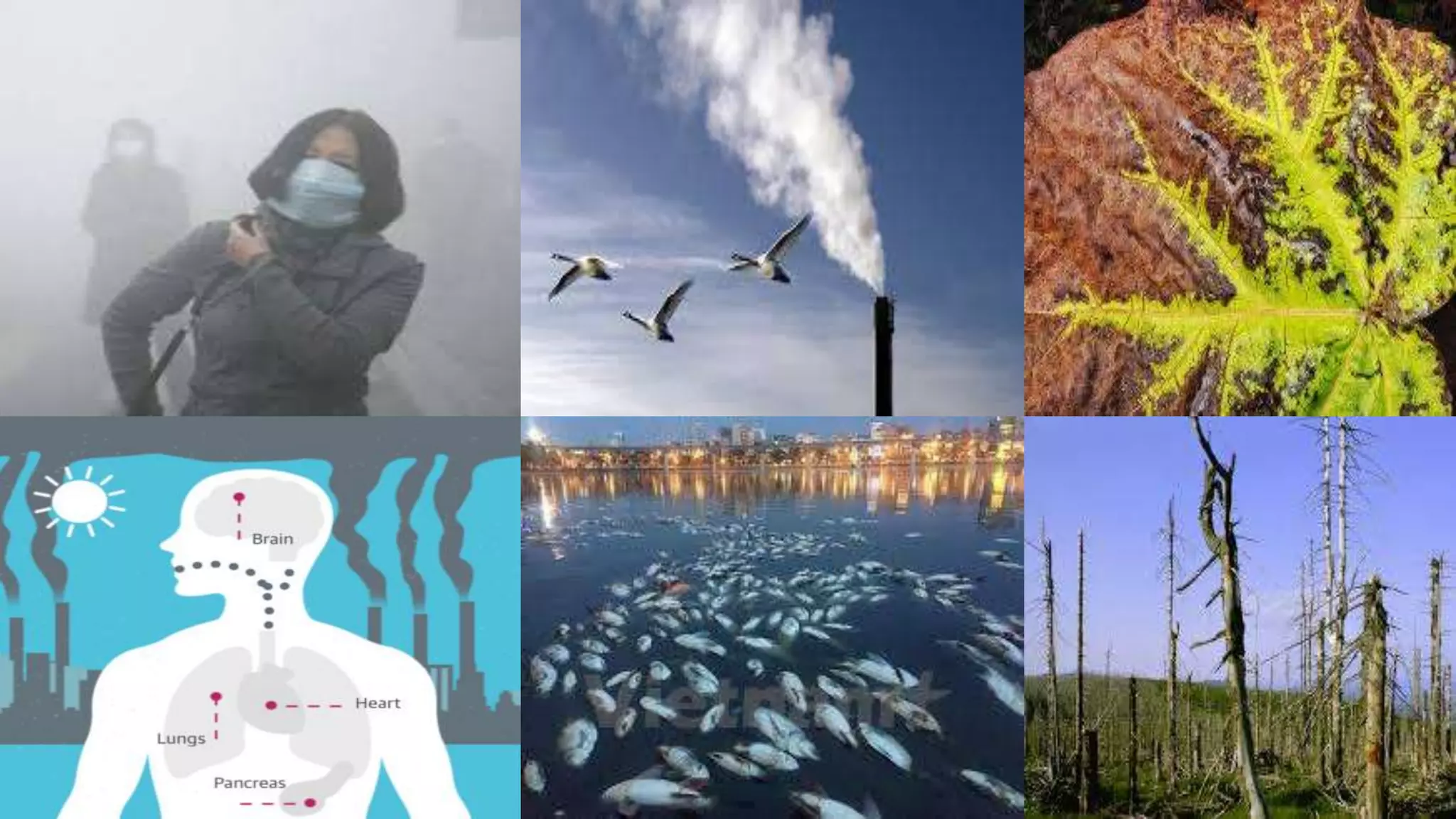 Air pollution-Cbse-Grade 9 | PPTX