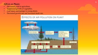 Air pollution | PPTX