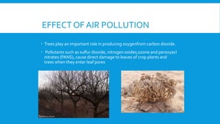 AIR POLLUTION.pptx