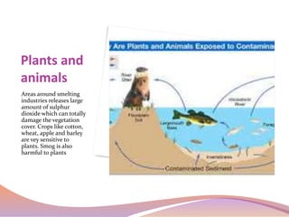air pollution and its effect on environment.pptx