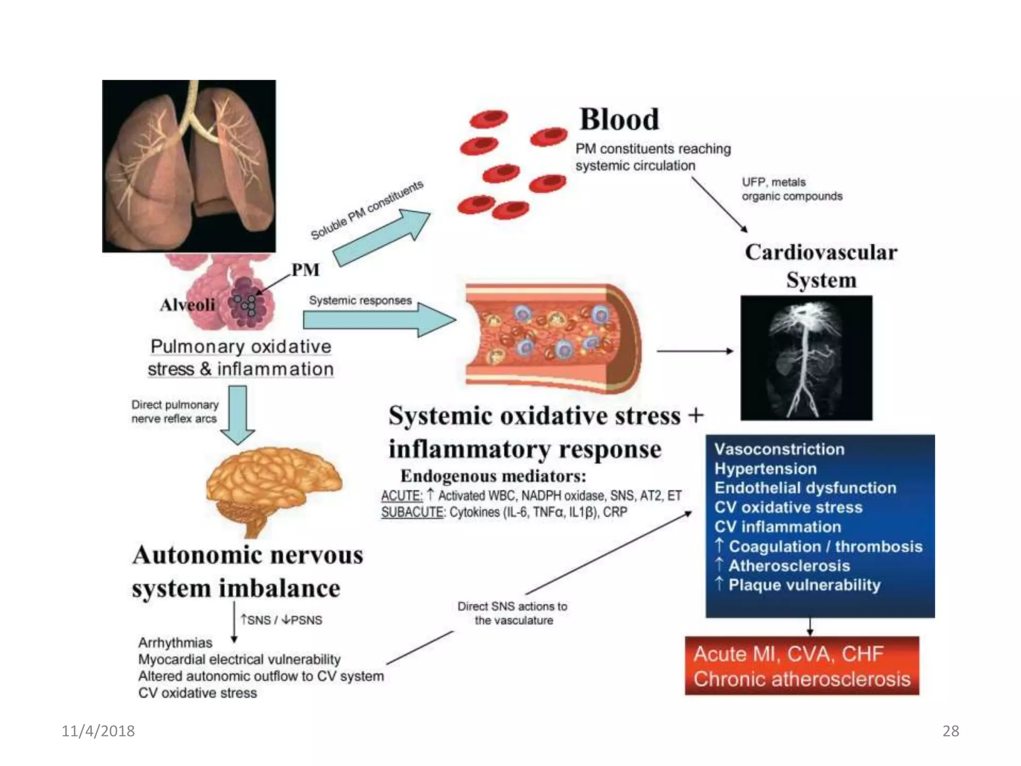 Air pollution and cardiovascular disease | PPTX