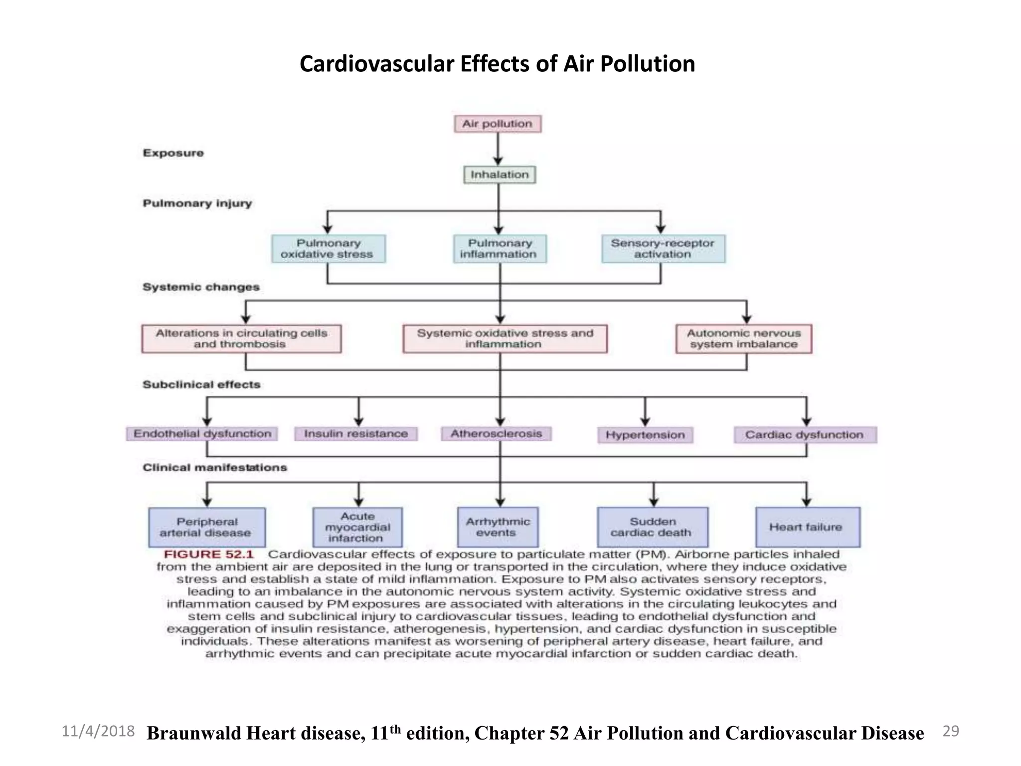 Air pollution and cardiovascular disease | PPTX