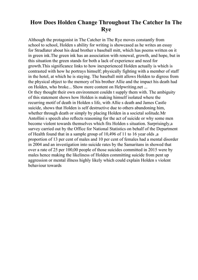 Air Pollution Essay Conclusion.pdf