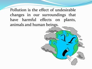Effects Of Air Pollution On Plants Animals And Humans