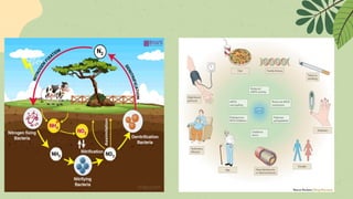 Air pollution by different gases and their sources, effects, reactions ...