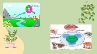 Air pollution by different gases and their sources, effects, reactions ...