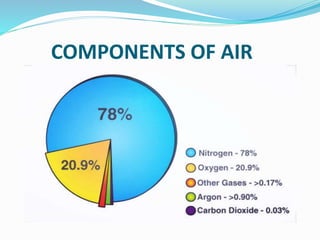 Composition Of Air Pie Chart