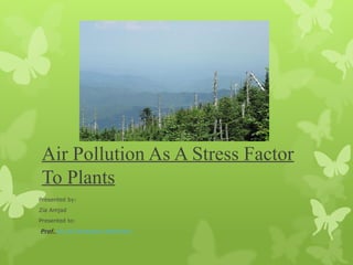 Air pollution stress plants Zia Amjad.pptx