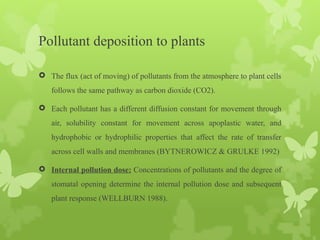 Air pollution stress plants Zia Amjad.pptx