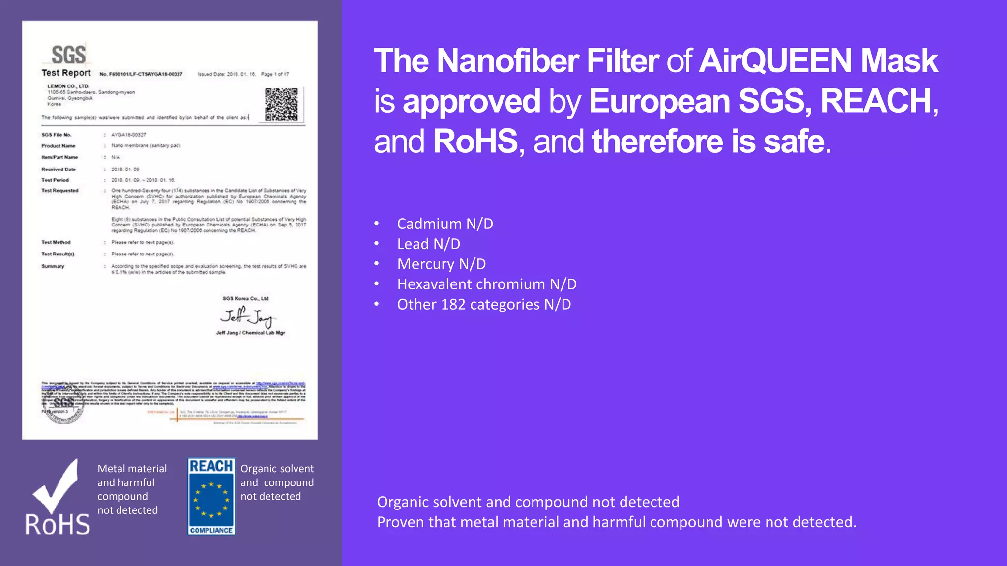 Air Queen NanoFiber Filter Mask | PPT